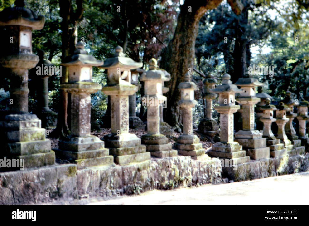 Stone Lanterns at the Kasuga Shrine (shinto shrine) in Nara Japan (r ...