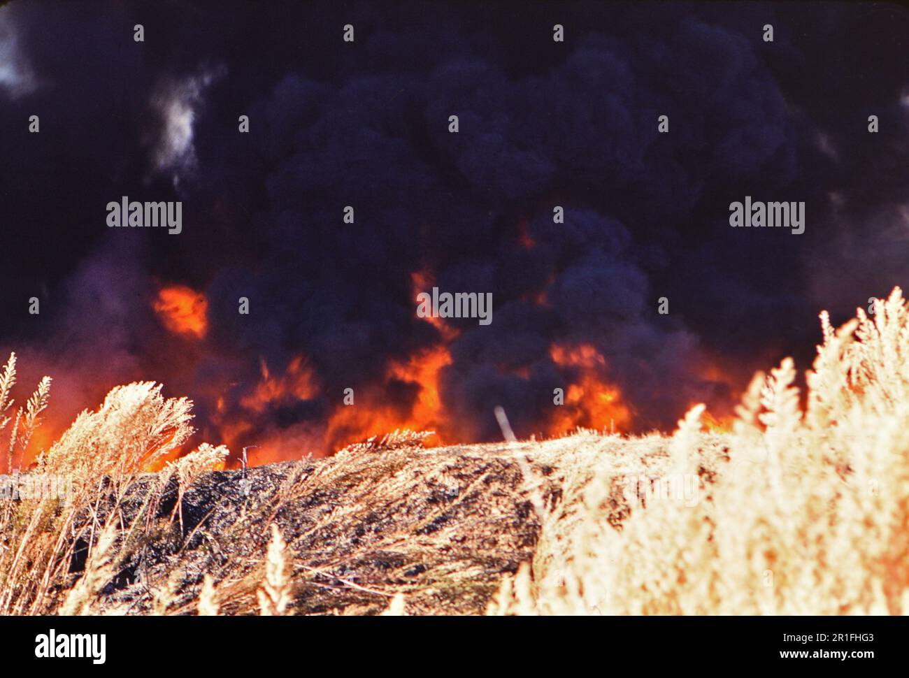 Texas brush fire ca. November 1956 Stock Photo - Alamy