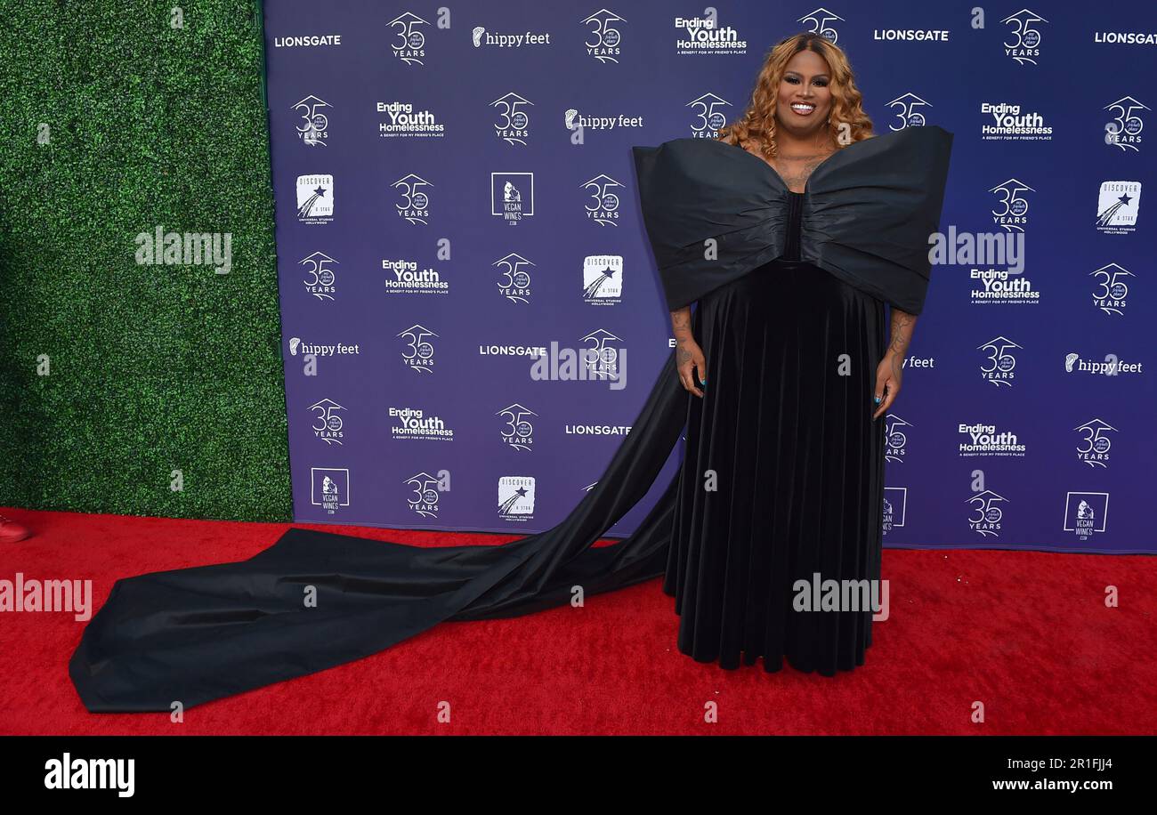 Ashlee Marie Preston arrives at the 2023 My Friend's Place Gala ...