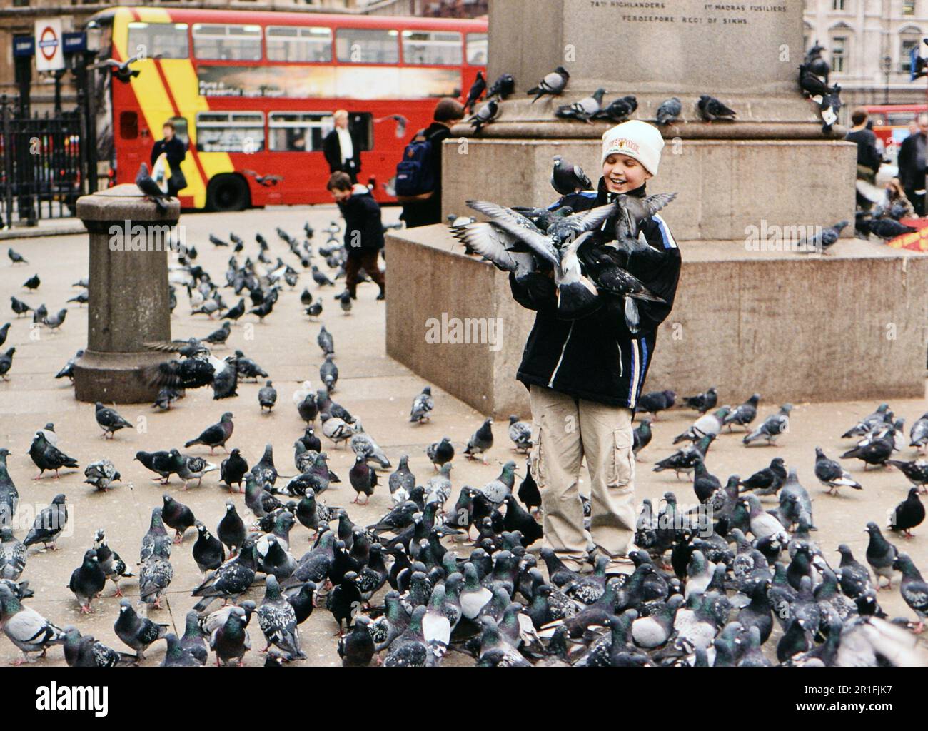 Pigeons london double decker bus hi-res stock photography and images ...
