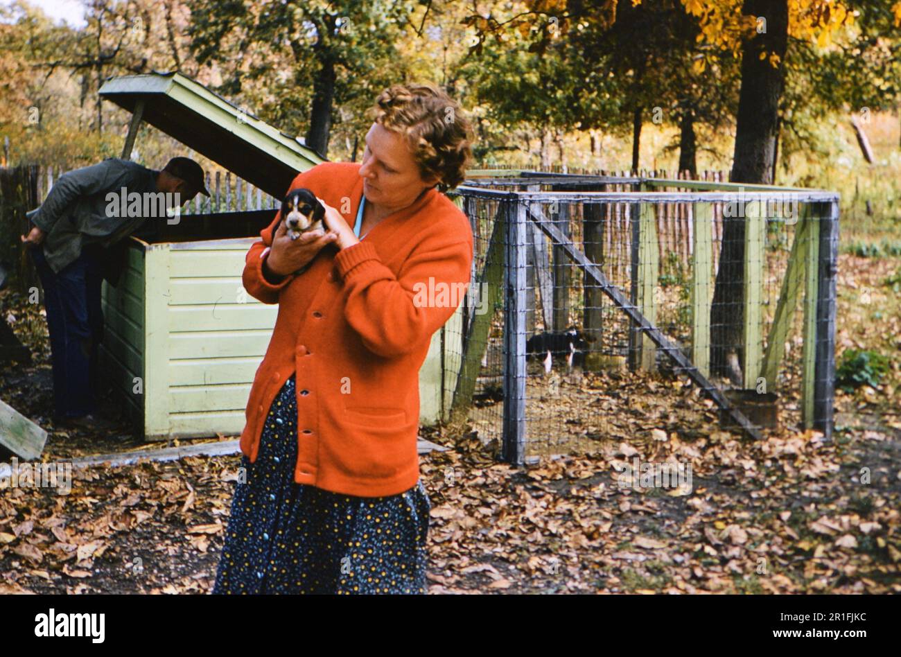 Bin man 1950 hi-res stock photography and images - Alamy