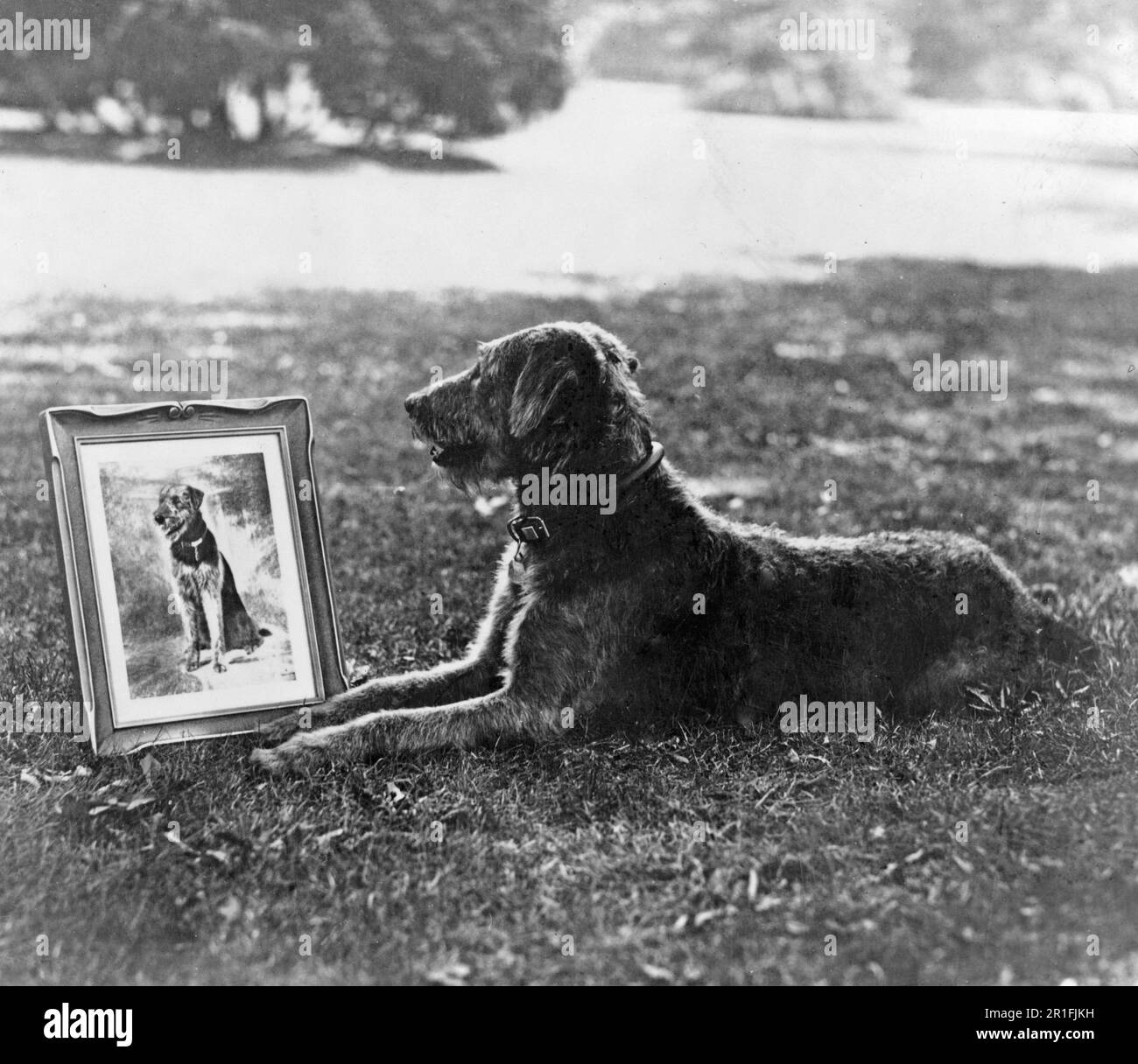 Radiotone hi-res stock photography and images - Alamy