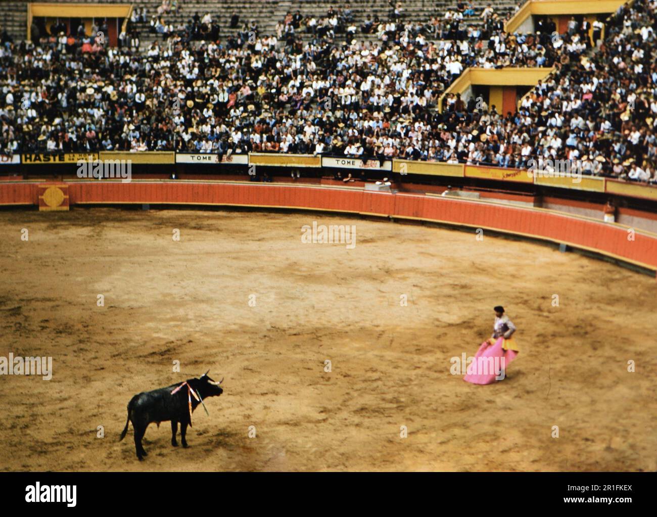 Bull fighter in bull fighting ring in Mexico ca. 1955-1959 Stock Photo ...