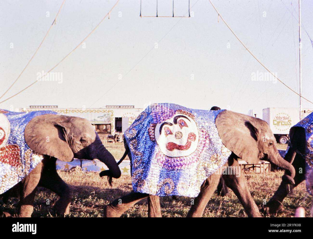 1986 circus elephants hi-res stock photography and images - Alamy
