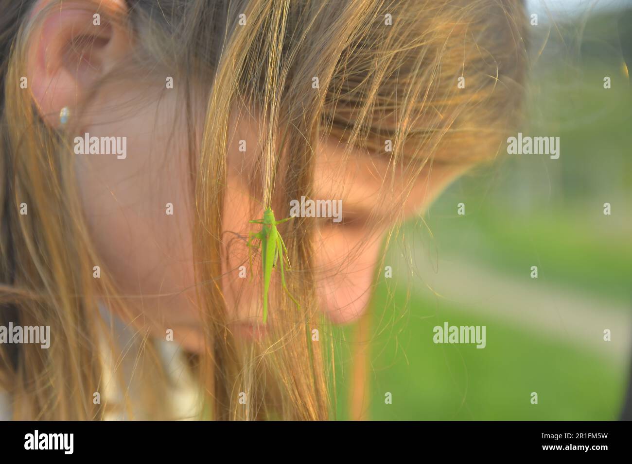 Girl and grasshopper hi-res stock photography and images - Alamy