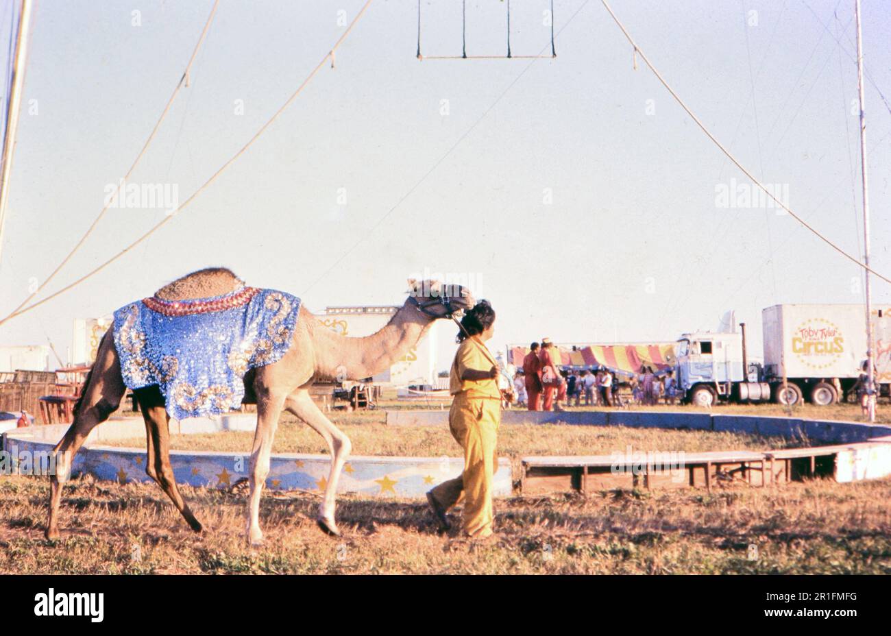 1980s circus camel hi-res stock photography and images - Alamy