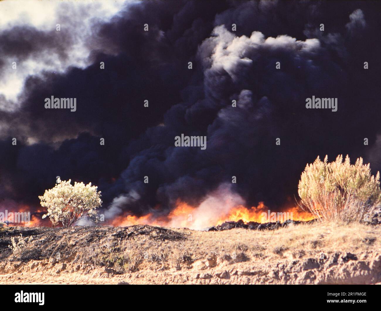 Vintage photos from 1950’s hi-res stock photography and images - Alamy