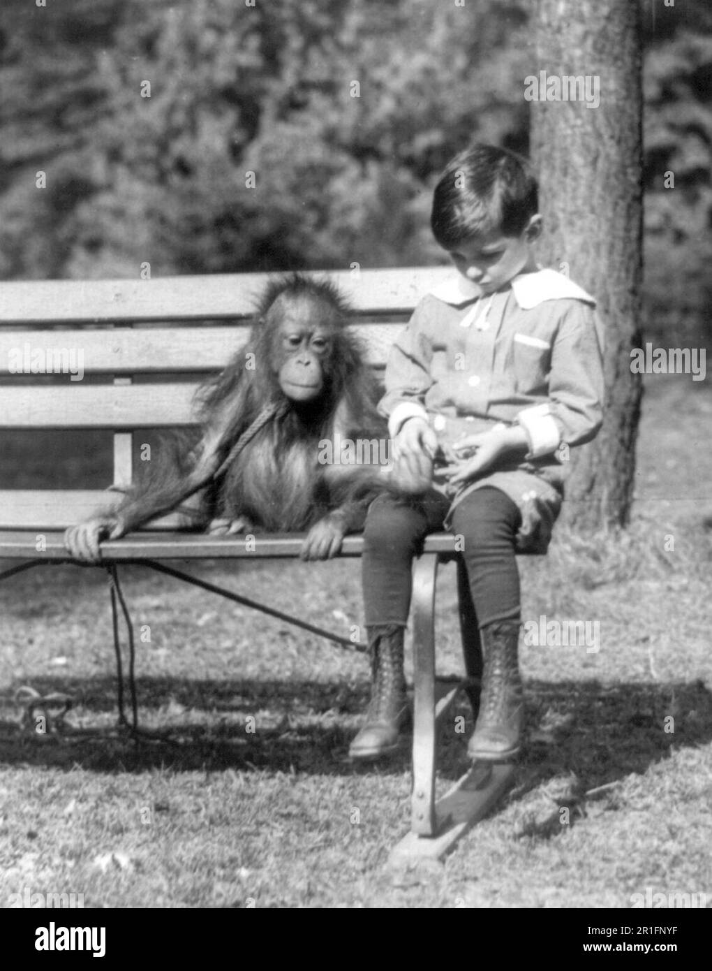 Boy seated with orangutan on bench at the National Zoo ca. 1909-1932 ...