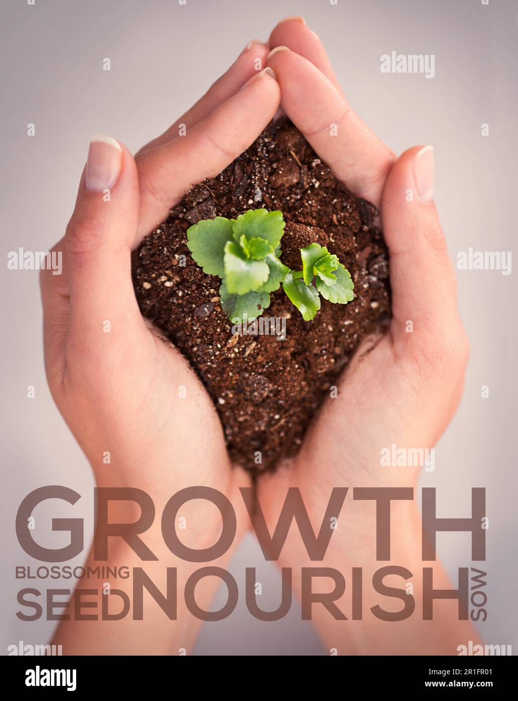 Hands, plant and growth with words for motivation, blossom and leaves in soil for sustainability ...