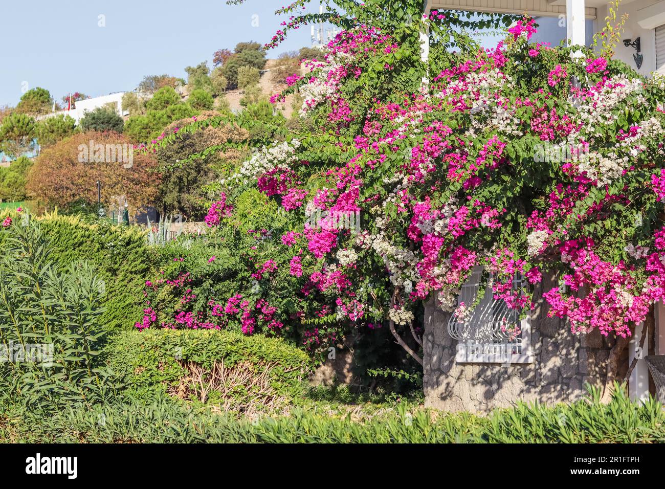Bodrum stone house hi-res stock photography and images - Alamy