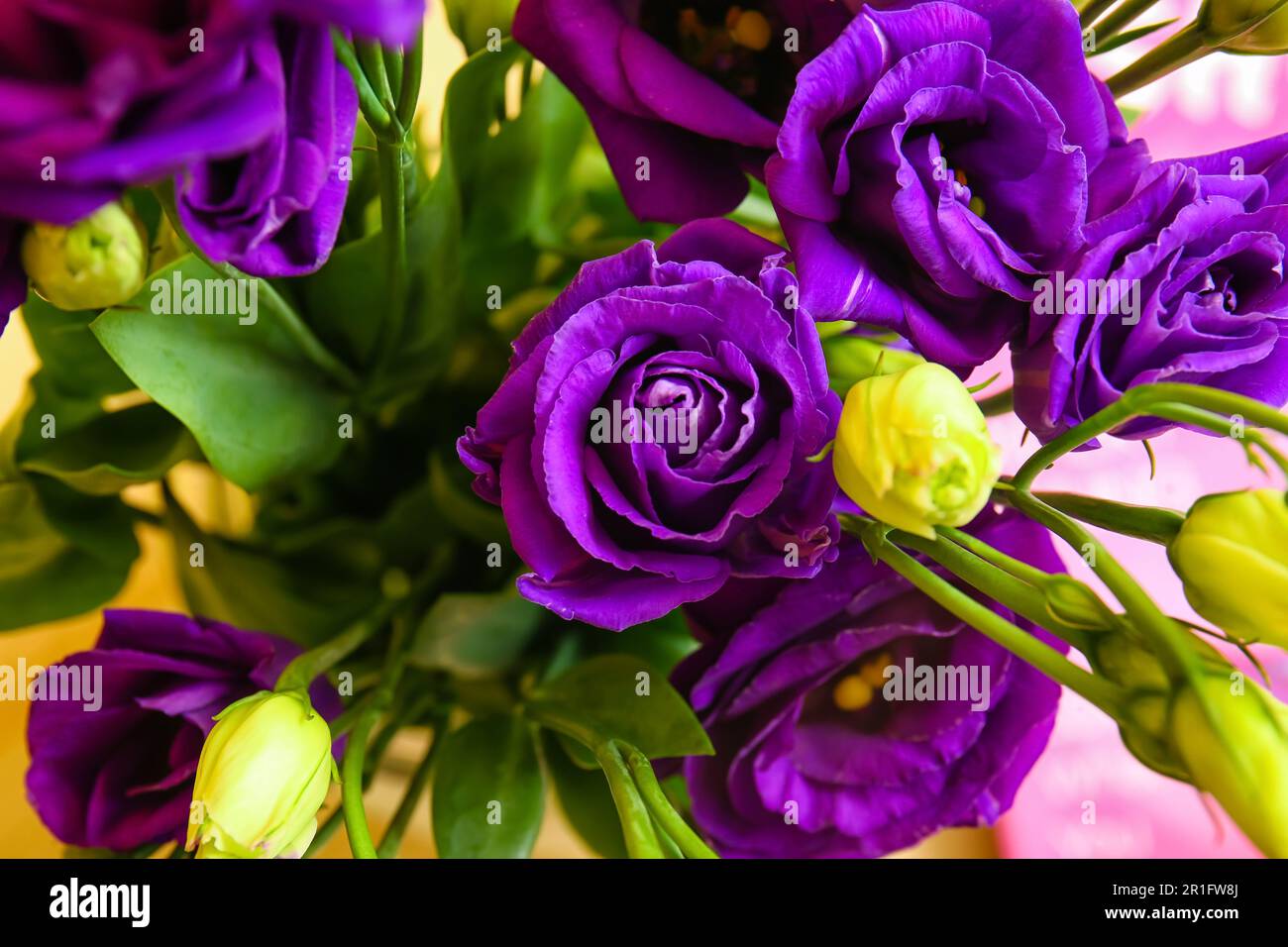 Eustoma flowers as background, closeup Stock Photo - Alamy