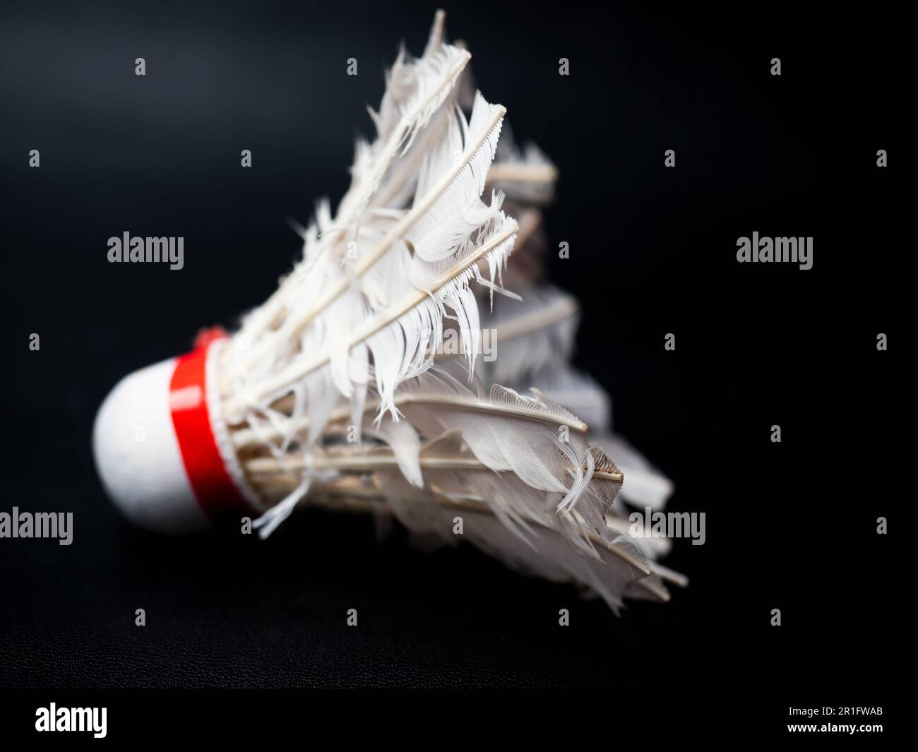 Picture of a broken shuttlecock on a black isolated background Stock ...
