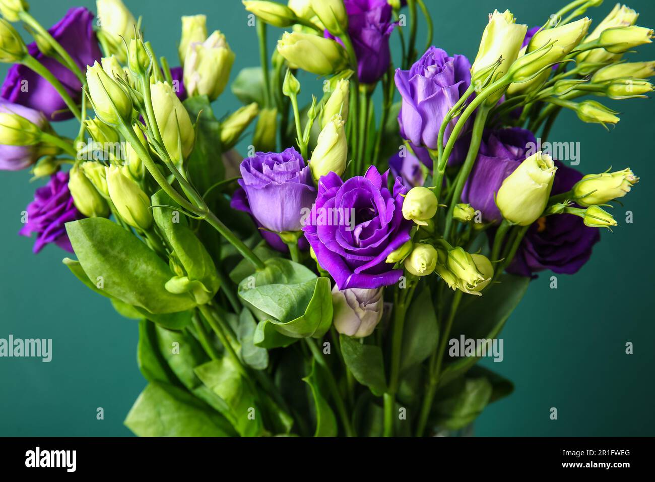 Eustoma flowers on green background, closeup Stock Photo - Alamy