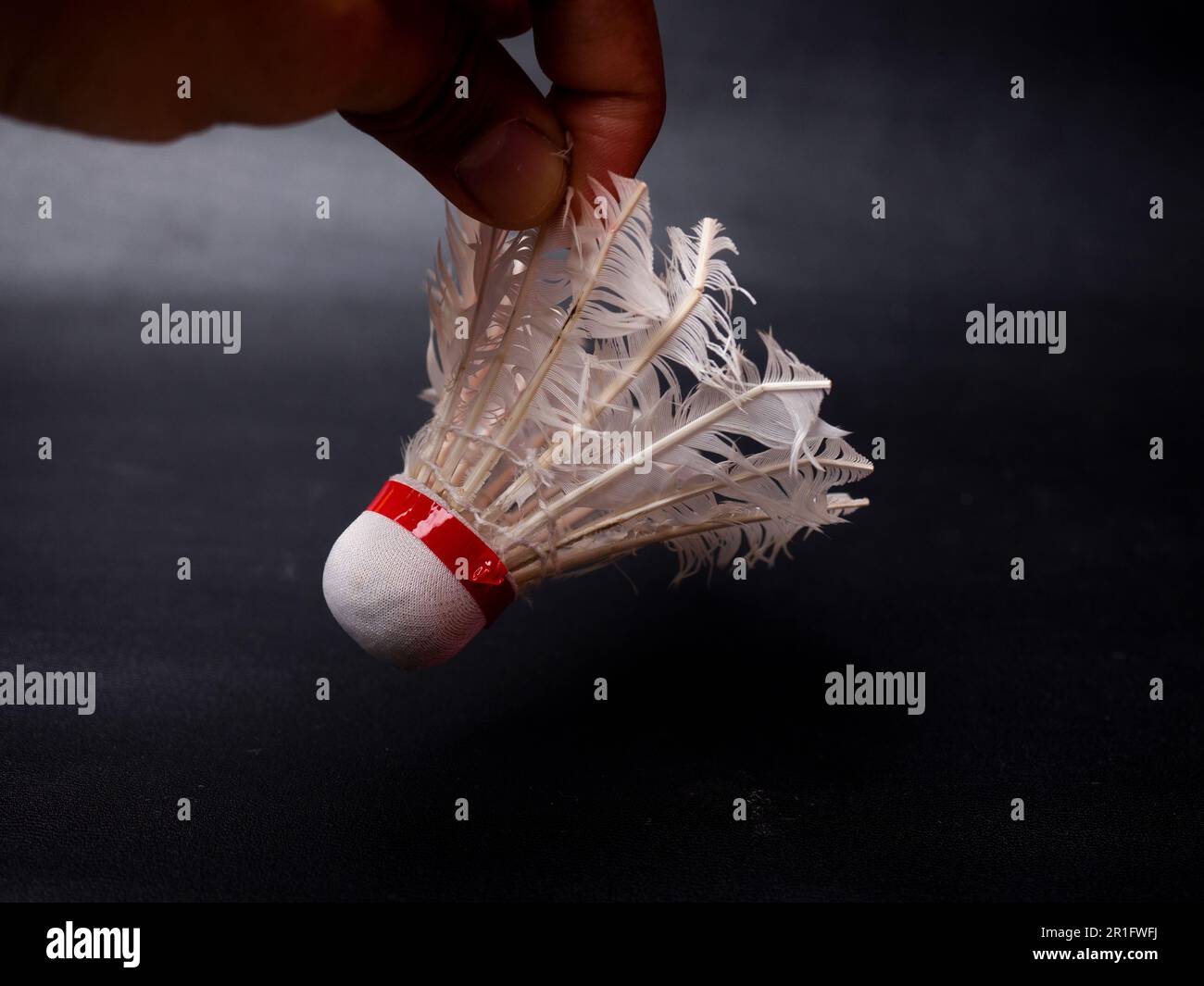 Picture of a broken shuttlecock on a black isolated background Stock ...
