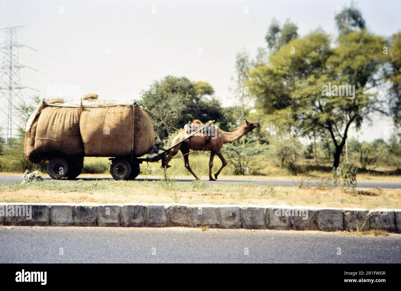 Camel wagon hi-res stock photography and images - Alamy