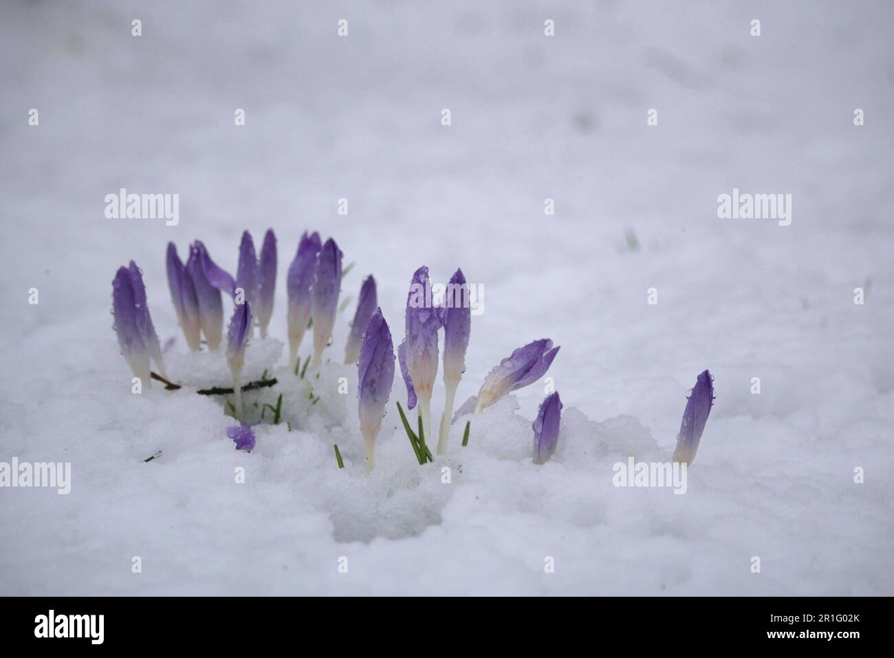 Breaking new ground hi-res stock photography and images - Alamy