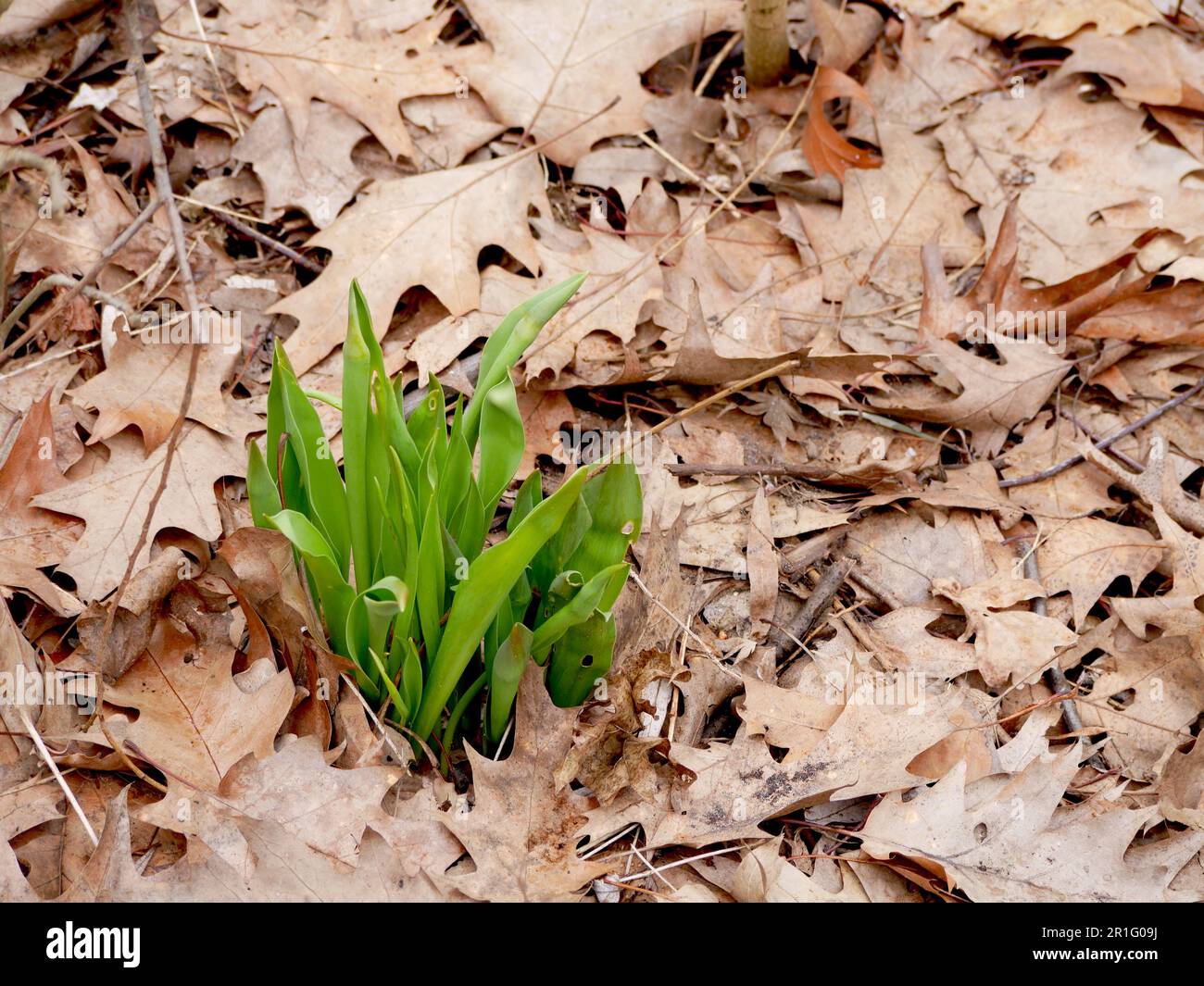 Breaking cycle hi-res stock photography and images - Alamy