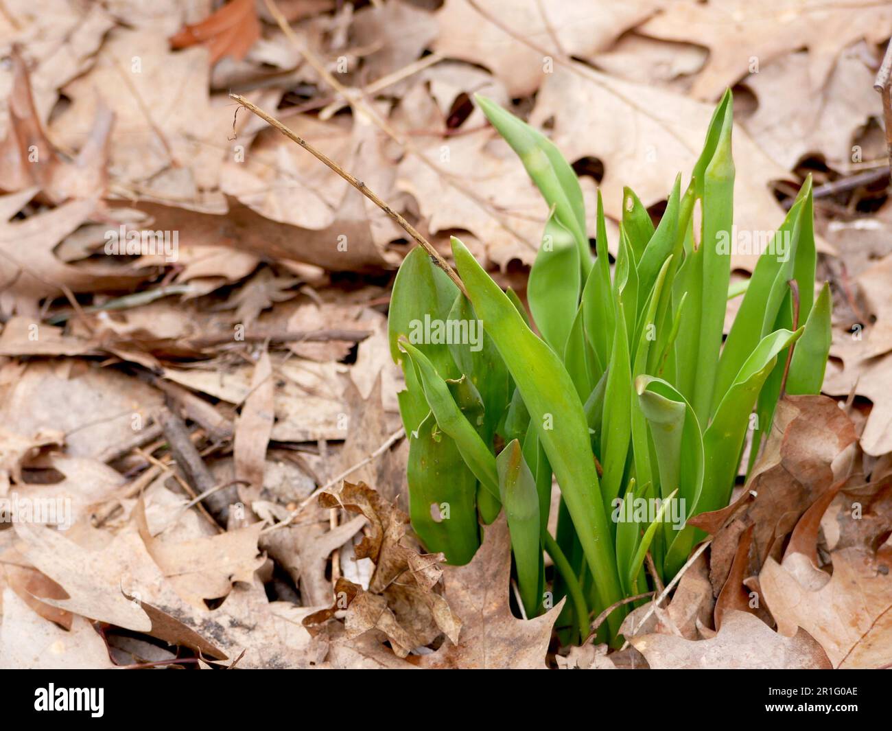 Breaking cycle hi-res stock photography and images - Alamy