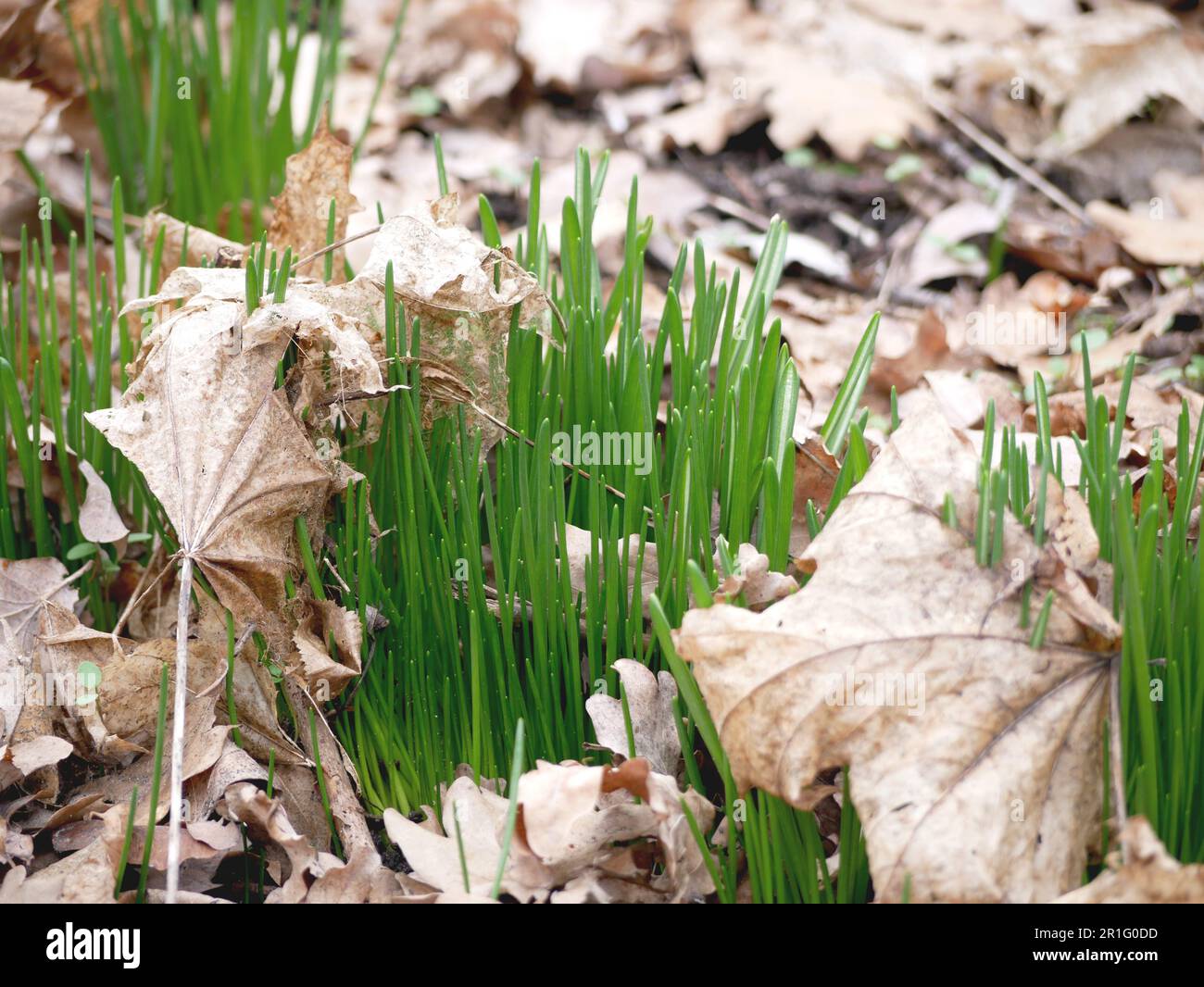 Breaking the cycle hi-res stock photography and images - Alamy