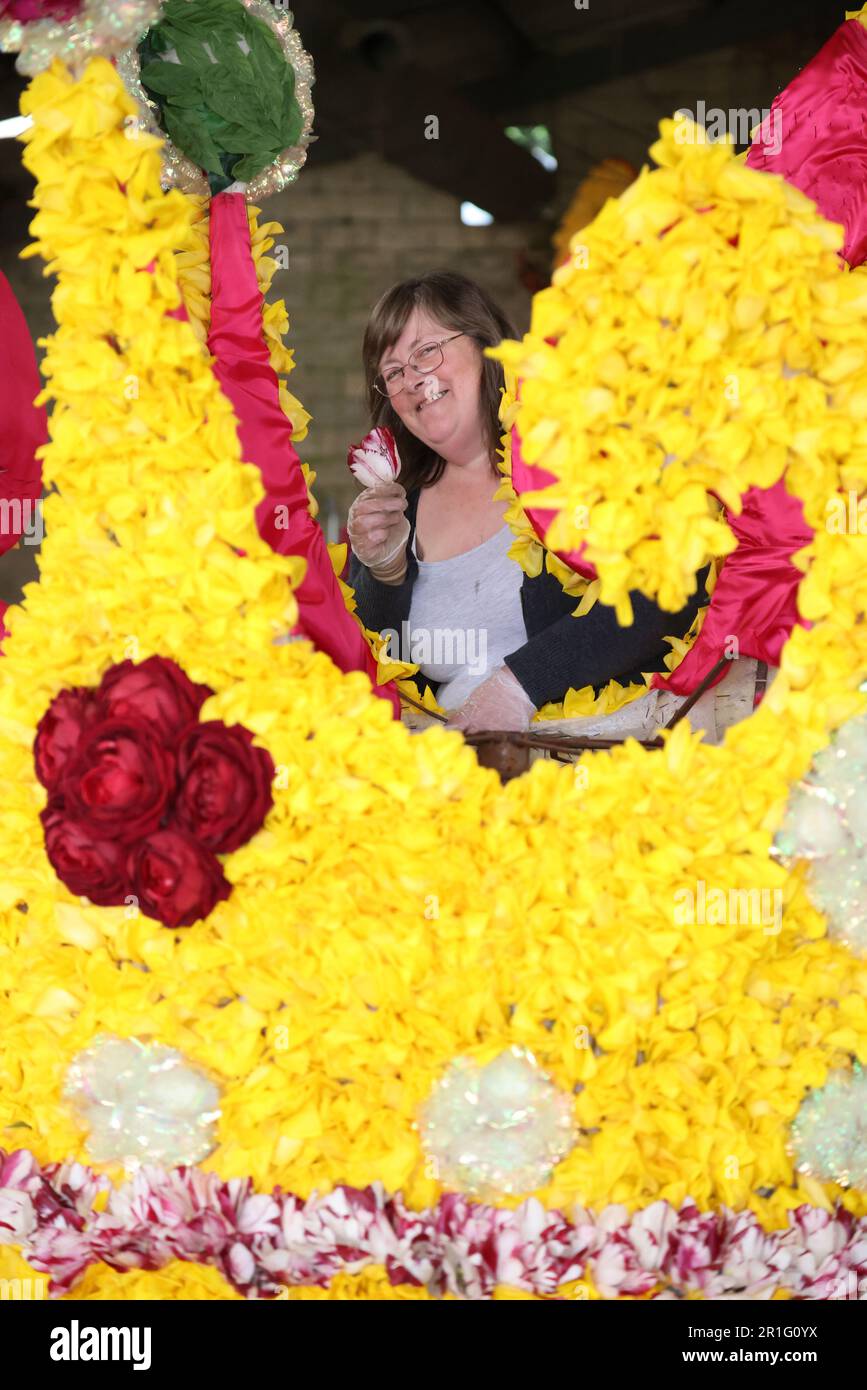 Spalding, UK. 11th May, 2023. Lilian Hitchen has started 'pinning ...