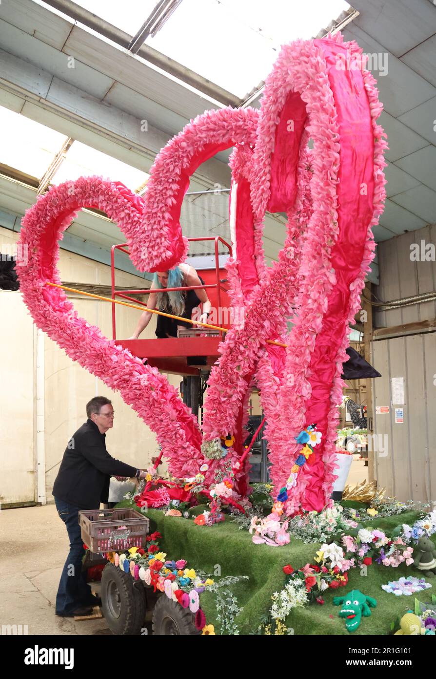Spalding, UK. 11th May, 2023. Laura Hudson has started 'pinning' tulip ...