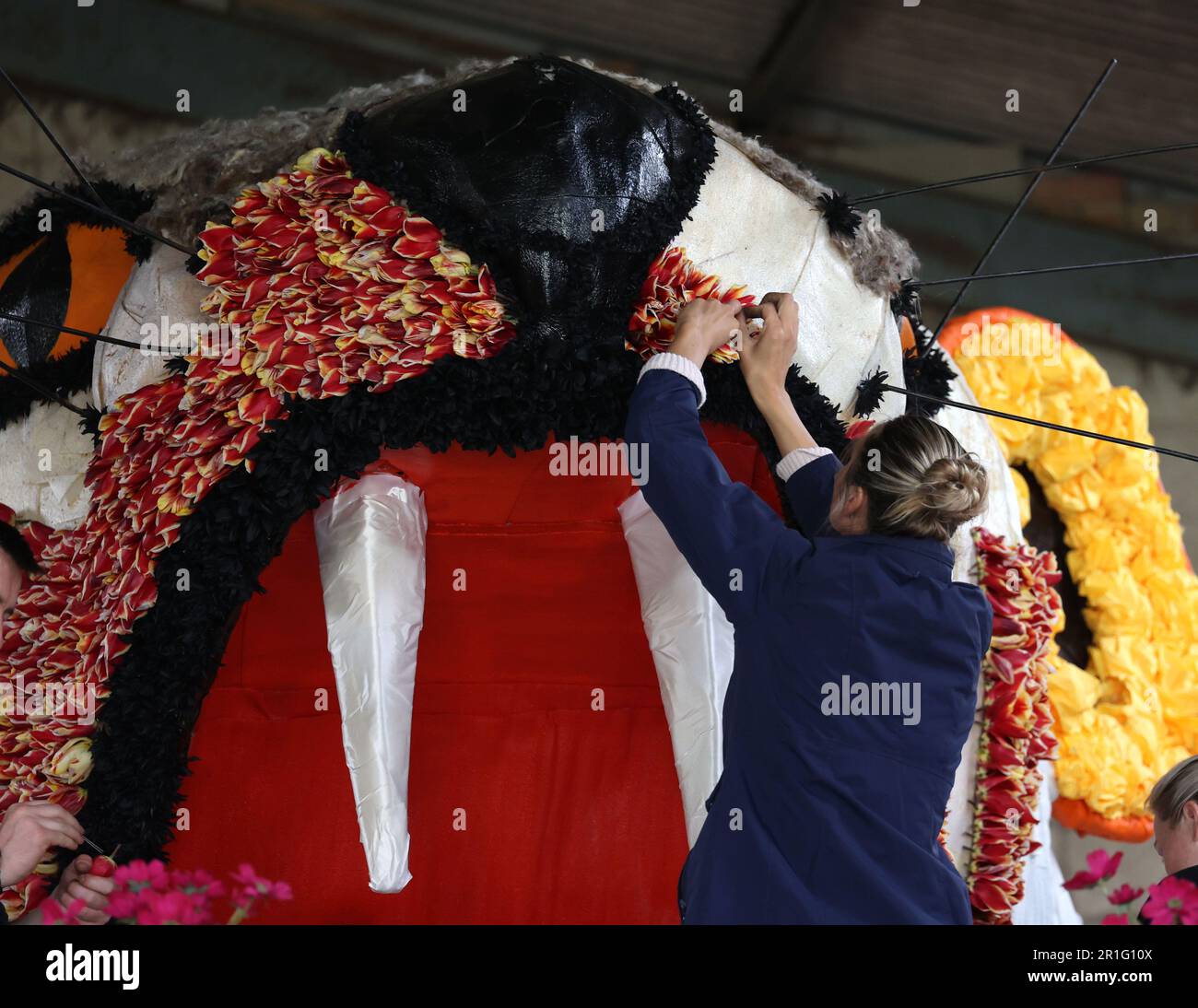Spalding, UK. 11th May, 2023. With the Spalding Flower Festival only ...