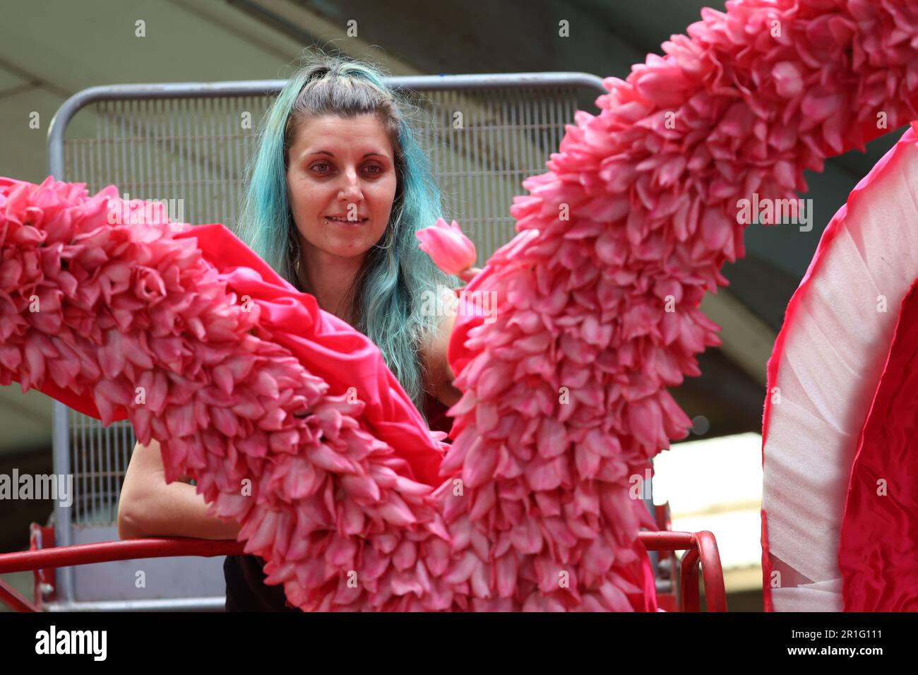 Spalding, UK. 11th May, 2023. Laura Hudson has started 'pinning' tulip ...