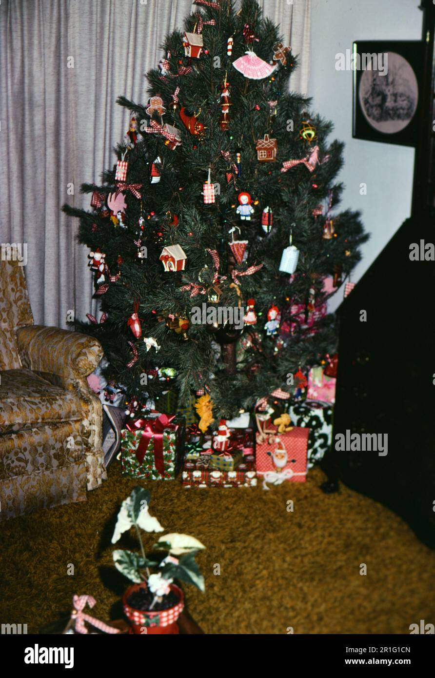 A Christmas tree in a typical American living room ca. Dec. 1976 Stock ...