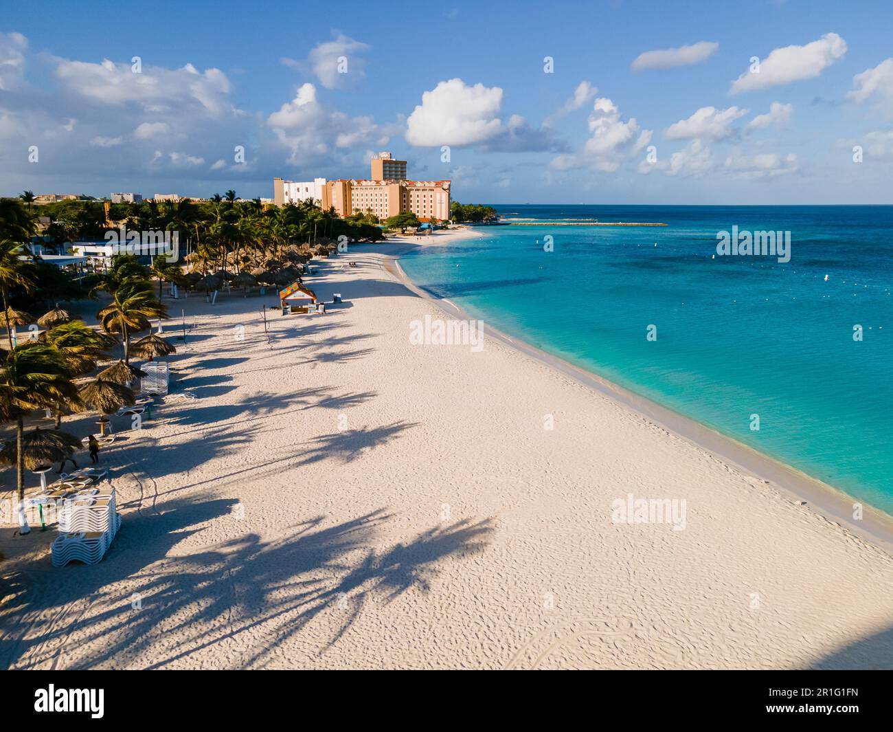 Palm Beach Aruba Caribbean, white long sandy beach with palm trees and ...