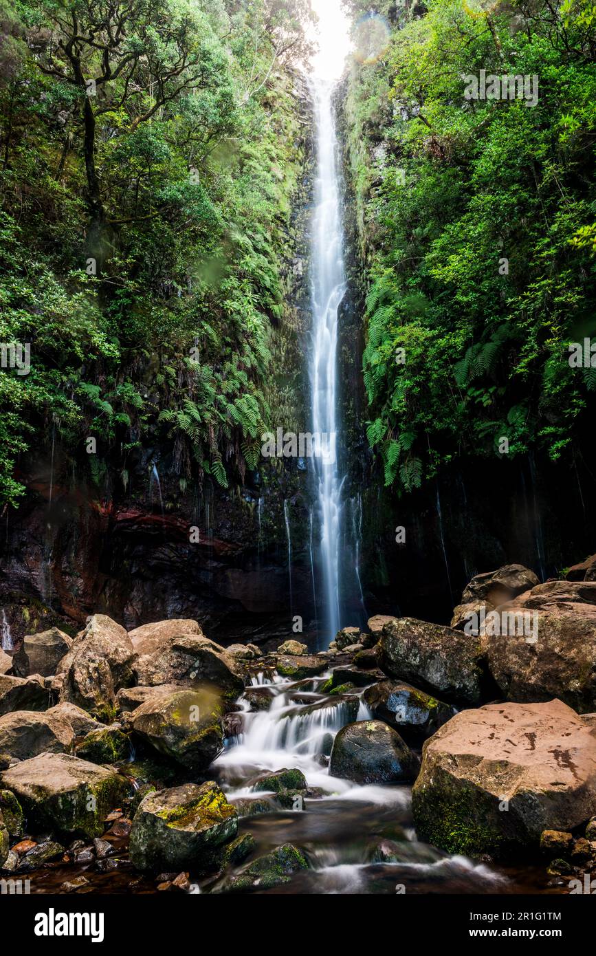 25 Fontes Waterfall and springs in Rabacal, Medeira island of Portugal ...