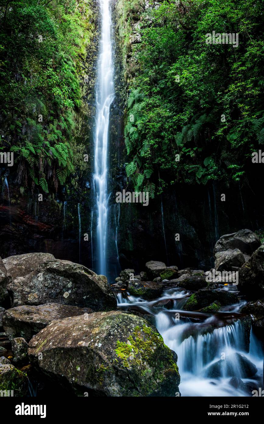 25 Fontes Waterfall and springs in Rabacal, Medeira island of Portugal ...