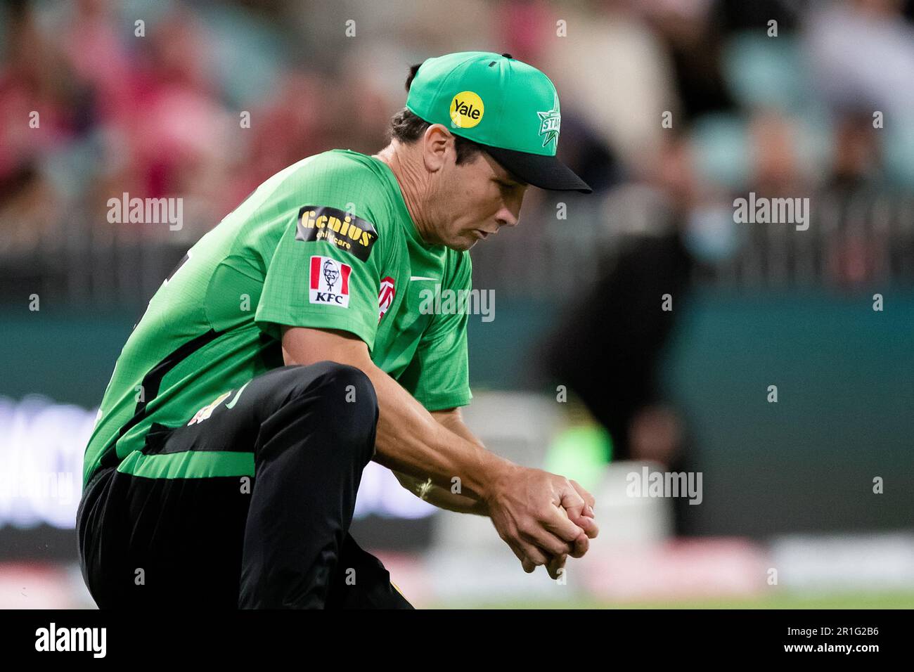 Hilton cartwright of the melbourne stars hi-res stock photography and ...