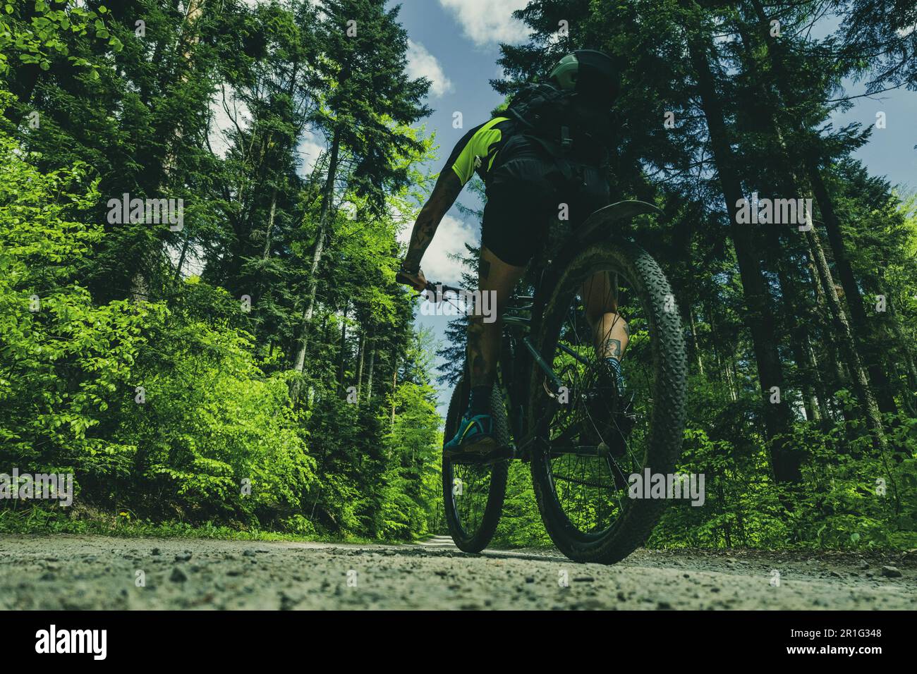 Man on mtb bike ride trough lush forest at spring Stock Photo - Alamy