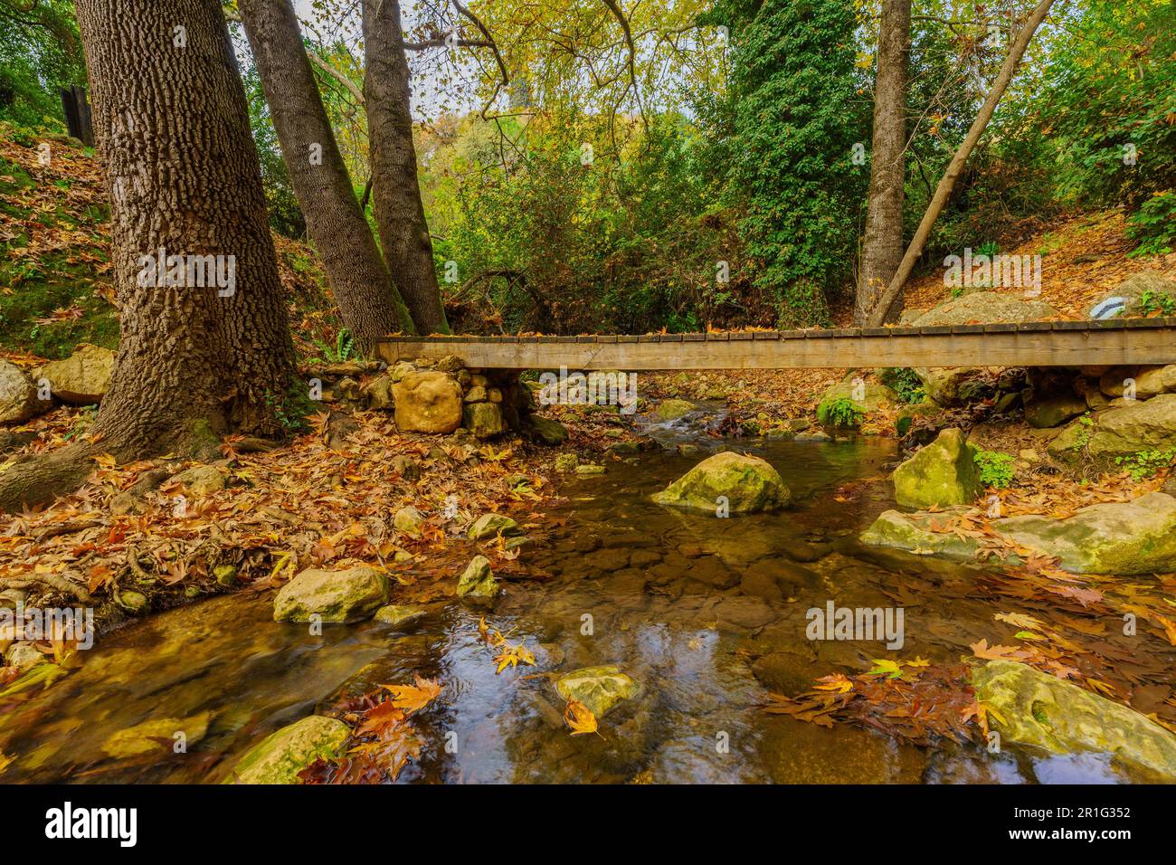 View of rocks, trees, water stream, fall foliage, footbridge, and trail ...