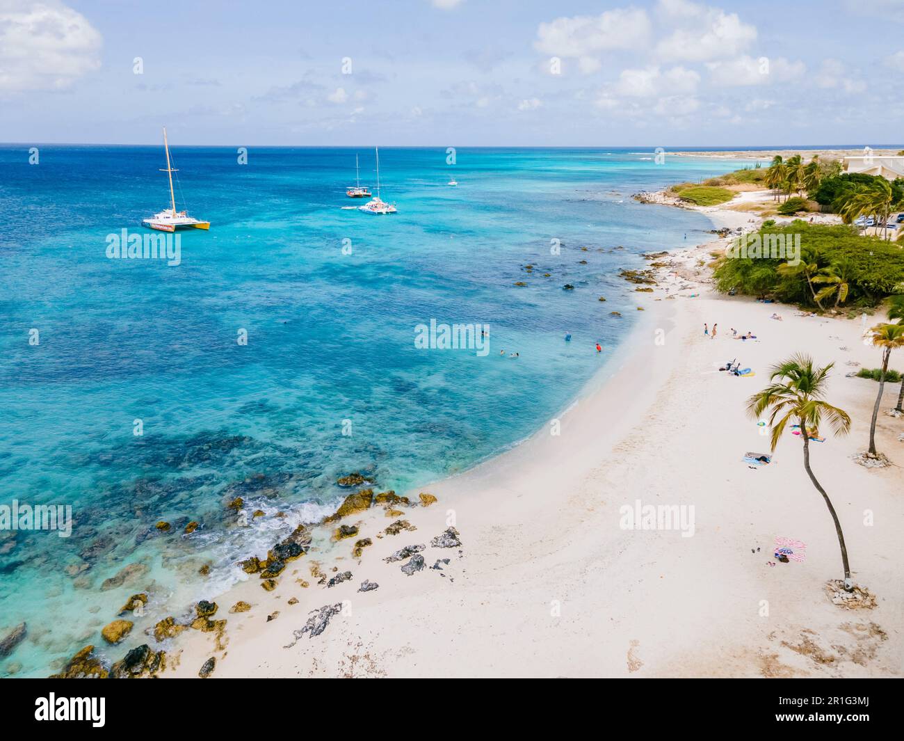 Eagle Beach Aruba, Palm Trees on the shoreline of Eagle Beach in Aruba ...