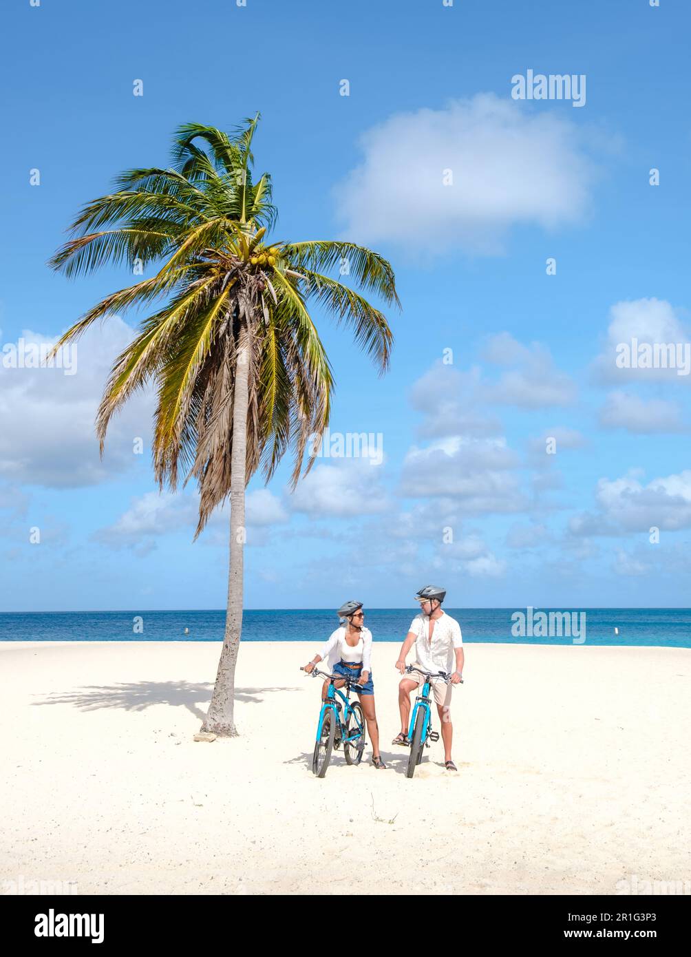 Eagle Beach Aruba, Palm Trees on the shoreline of Eagle Beach in Aruba ...