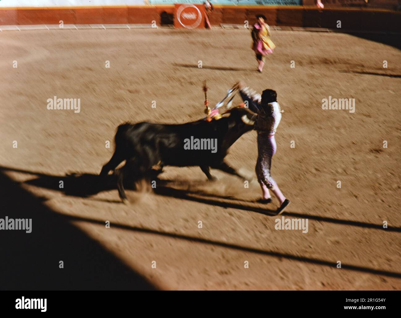 1960s bull fight hi-res stock photography and images - Alamy