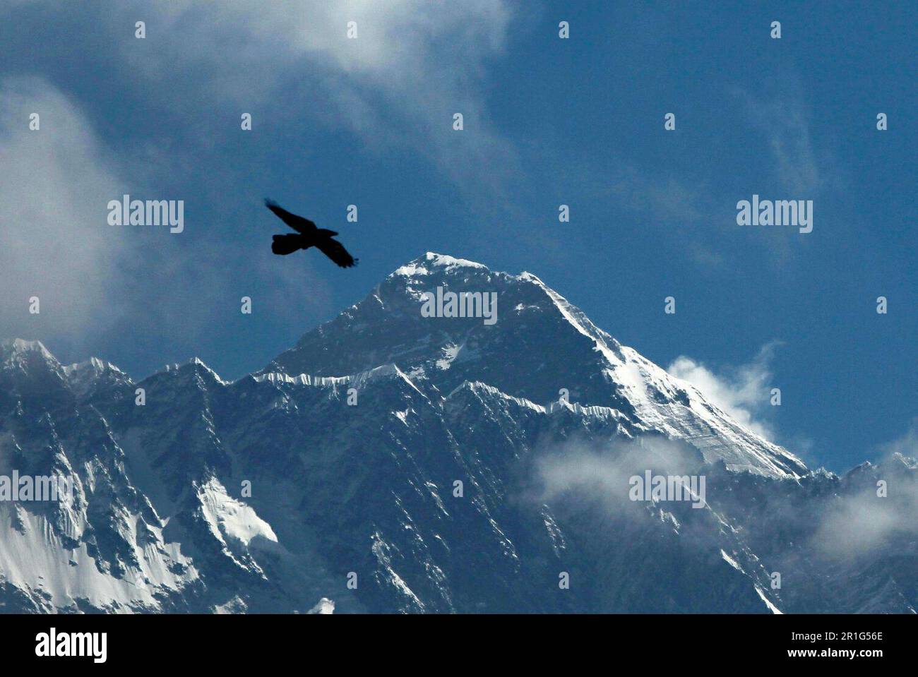 FILE - A bird flies with Mount Everest seen in the background from ...