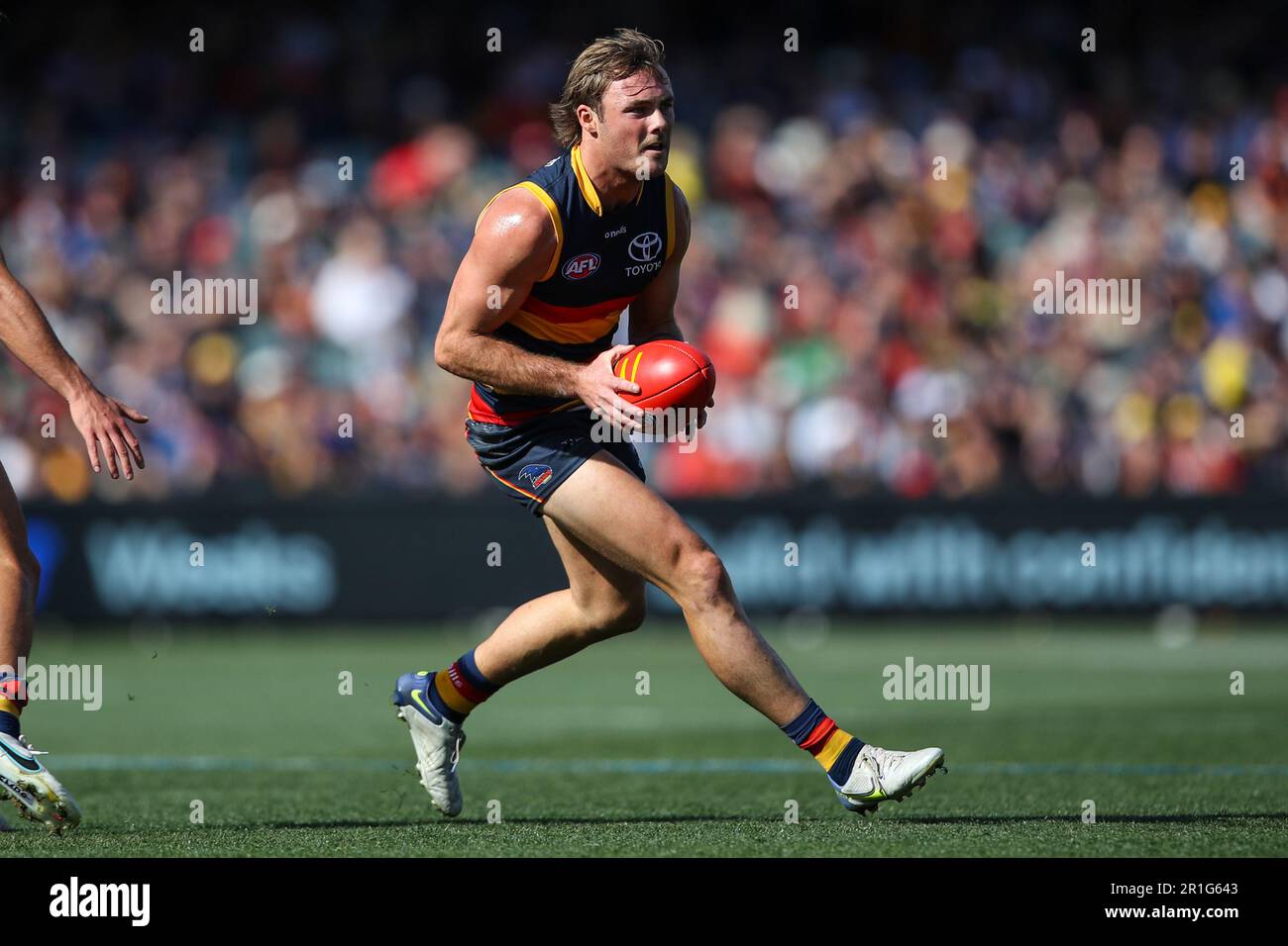 Australian Rules Football Crows