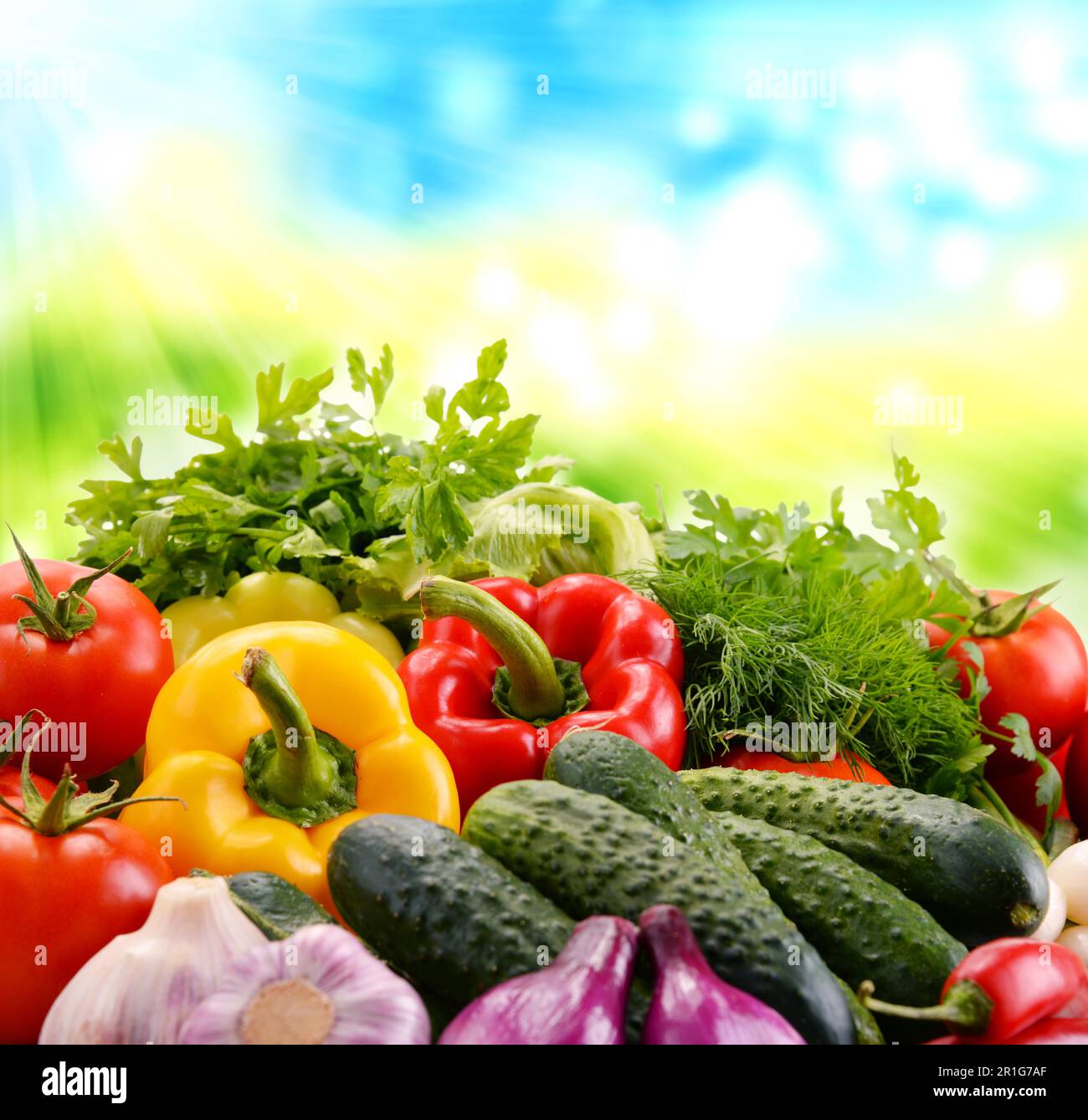 Composition with variety of fresh organic vegetables. Balanced diet ...