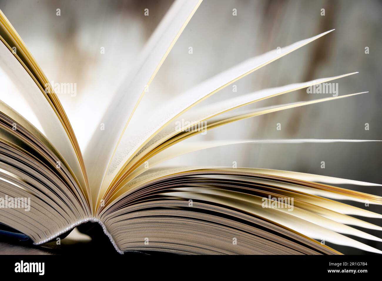 Composition with hardcover book on the table Stock Photo - Alamy