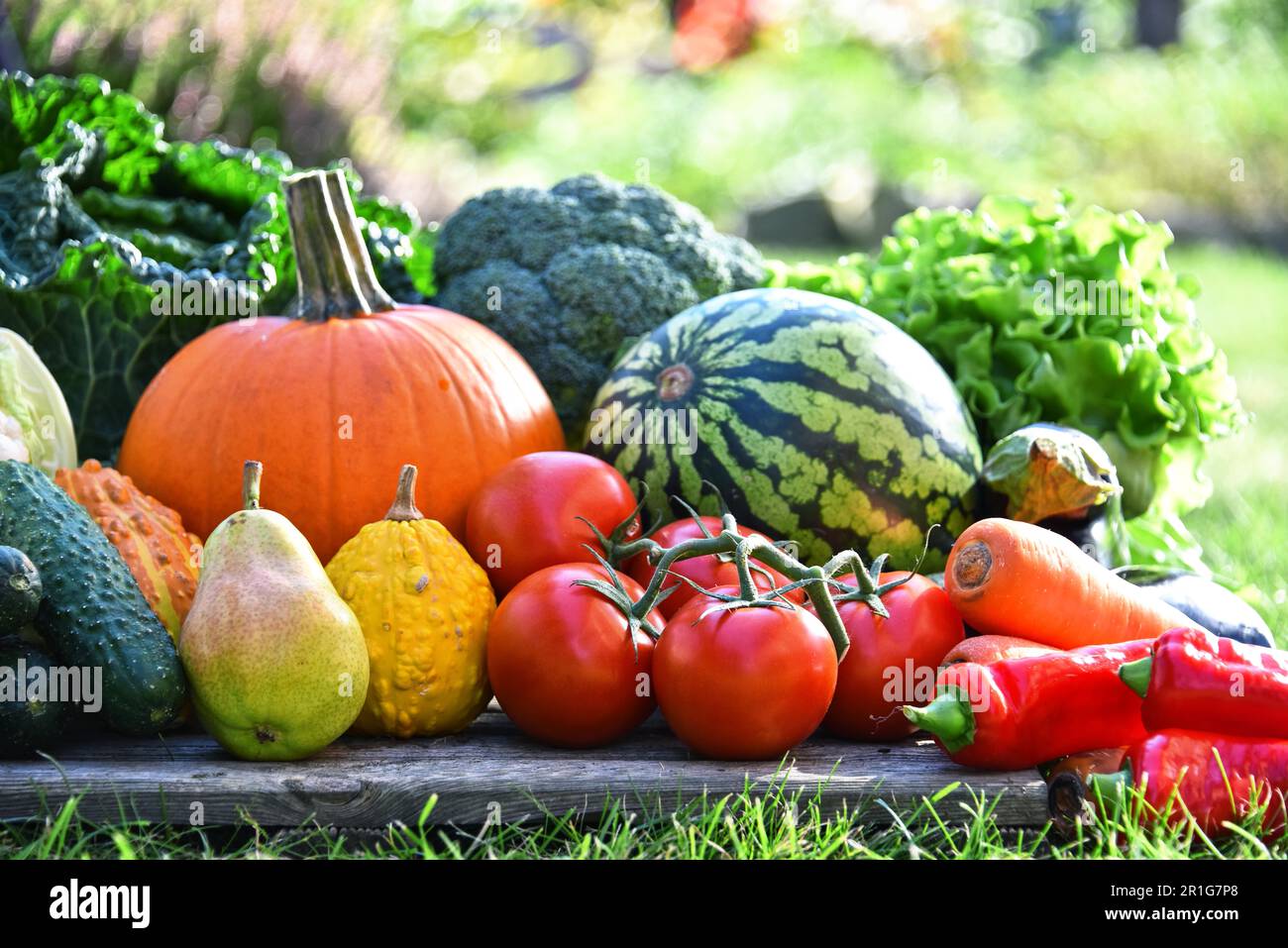 Variety of fresh organic vegetables and fruits in the garden. Balanced ...