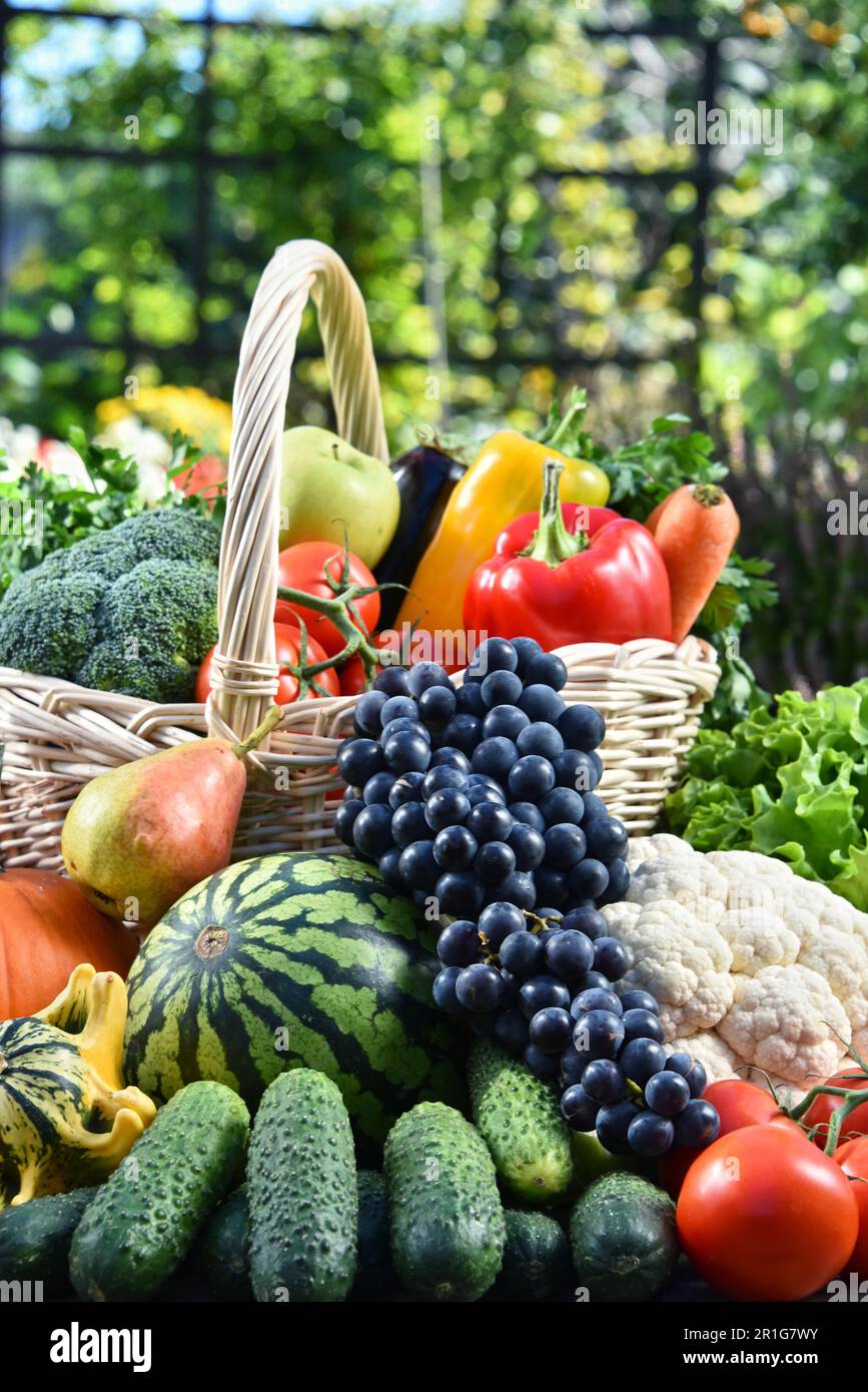 Variety of fresh organic vegetables and fruits in the garden. Balanced ...