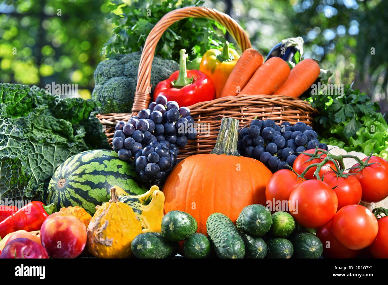 Variety of fresh organic vegetables and fruits in the garden. Balanced ...