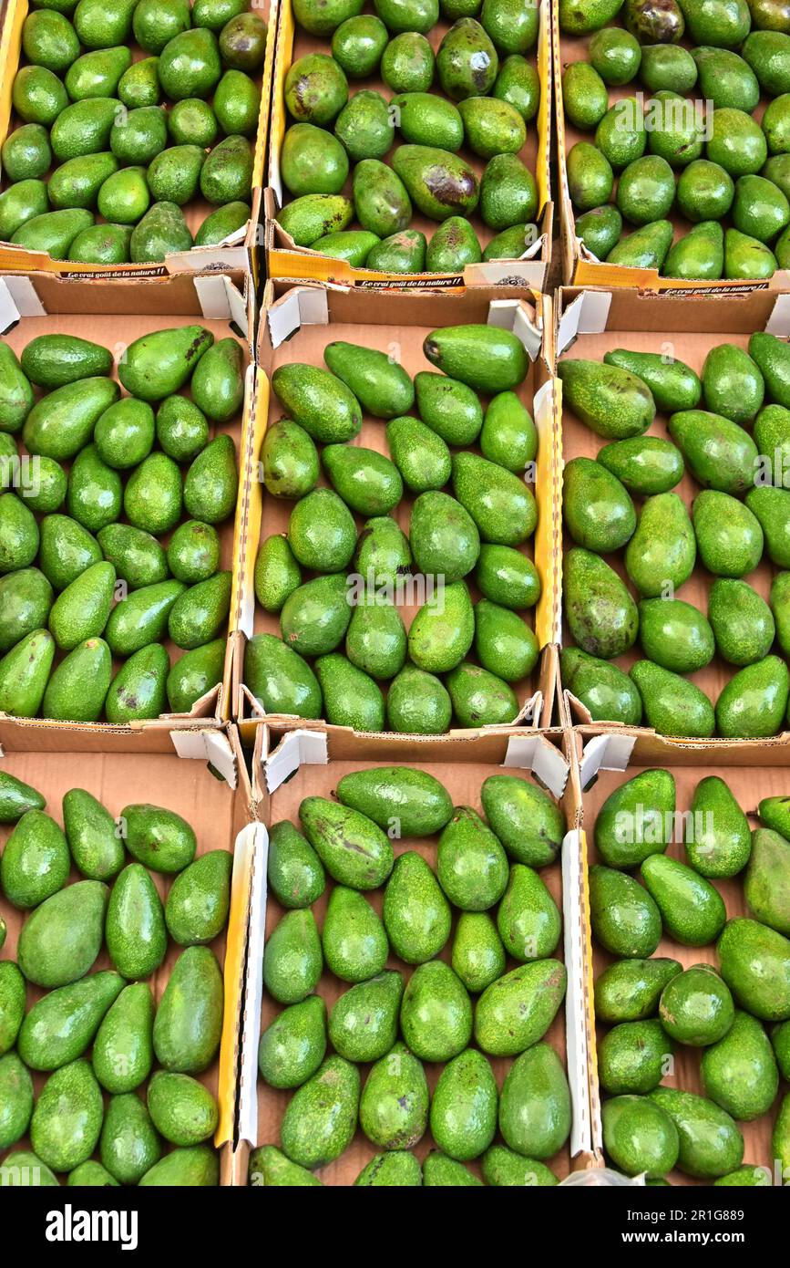 Booth avocado hi-res stock photography and images - Alamy