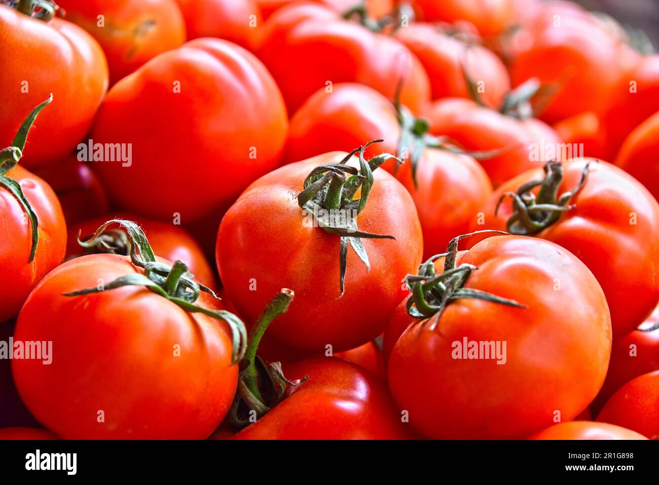 Fresh organic tomatoes on street market stall Stock Photo - Alamy