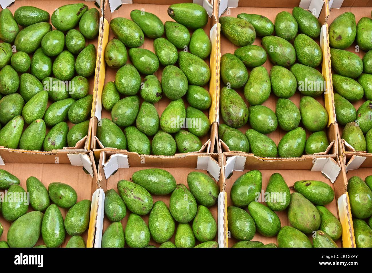 Avocados on street market stall Stock Photo - Alamy
