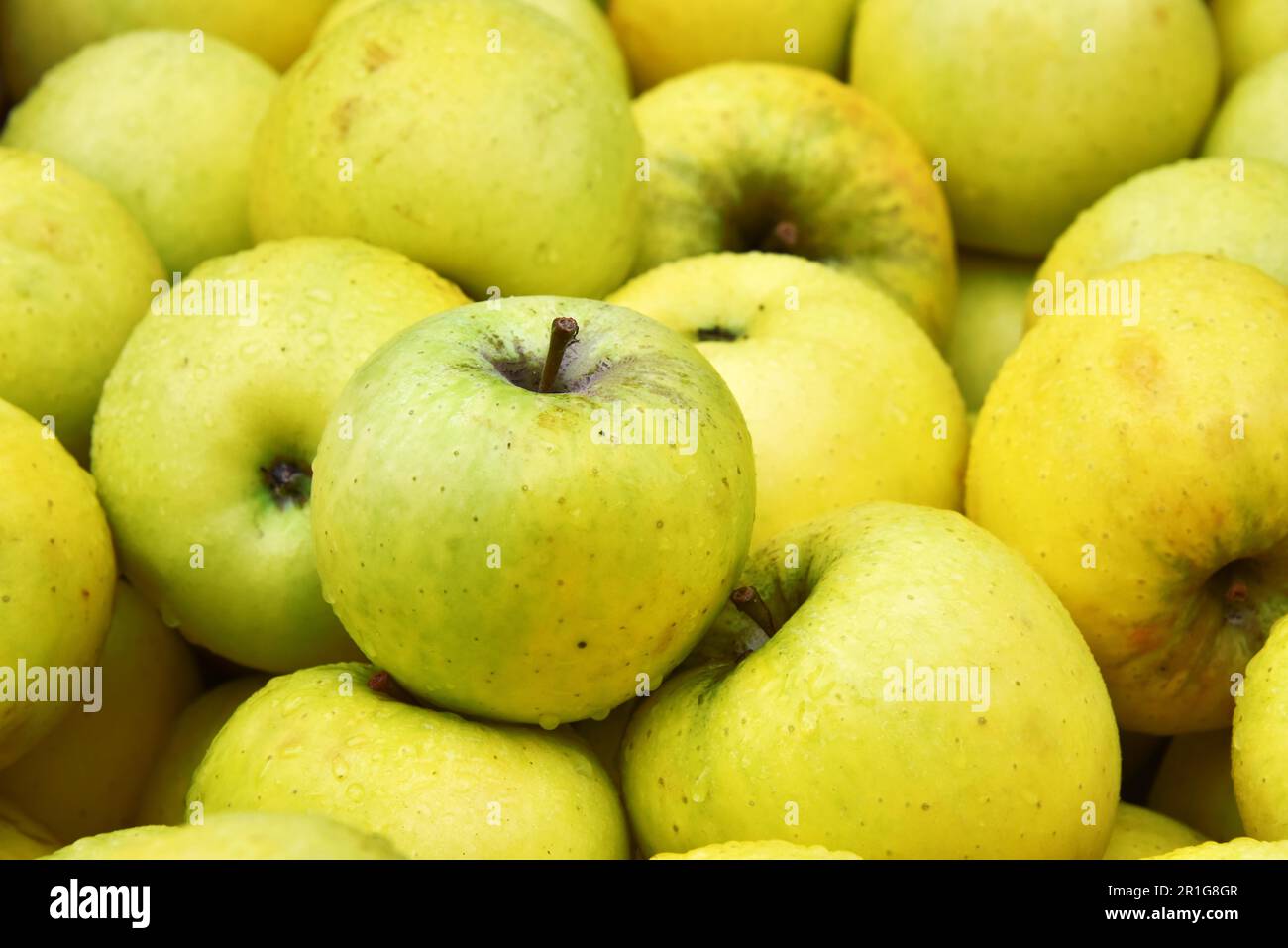 Fresh organic apples on street market stall Stock Photo - Alamy