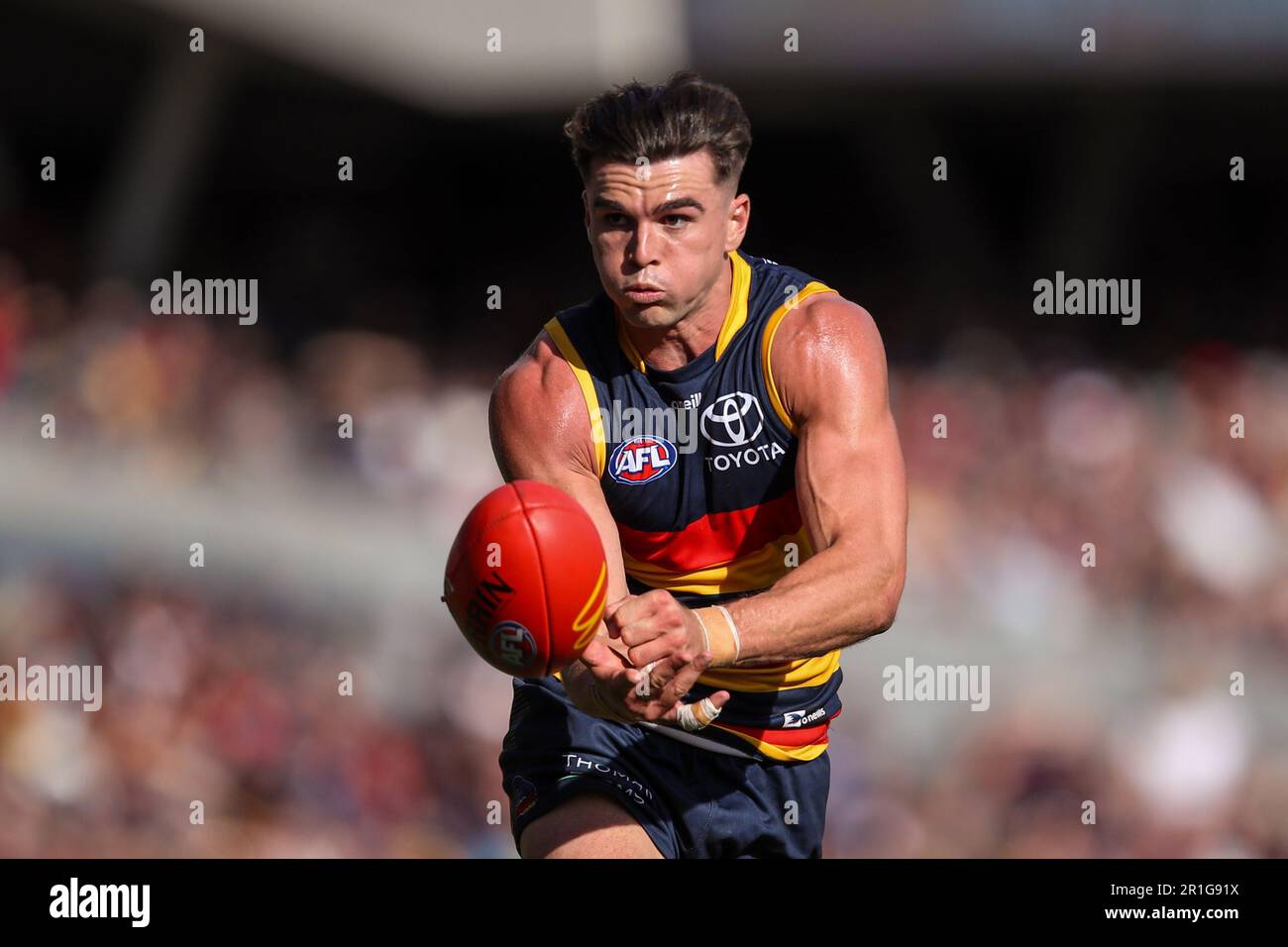 Ben Keays of the Crows during the AFL Round 9 match between the ...