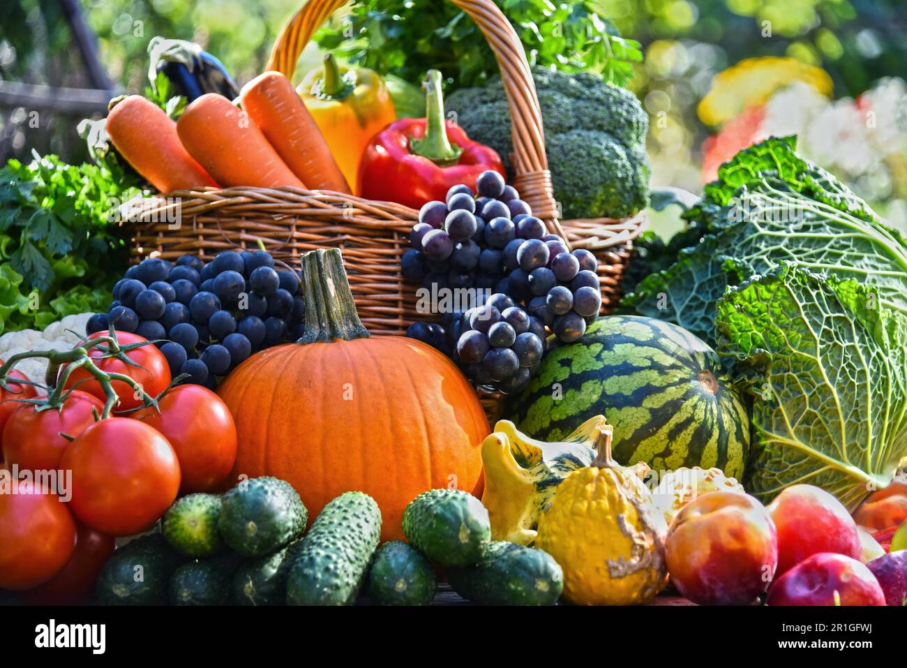 Variety of fresh organic vegetables and fruits in the garden. Balanced ...